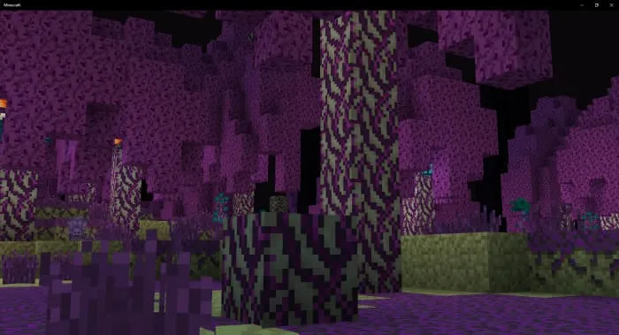 Elingo's End Update Addon for Minecraft