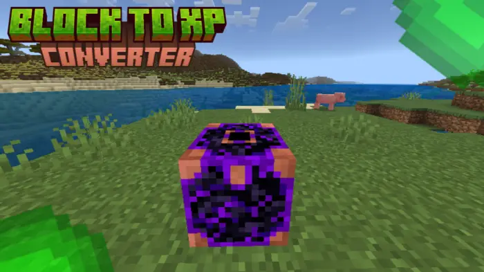 Block To XP Converter Add-on for Minecraft