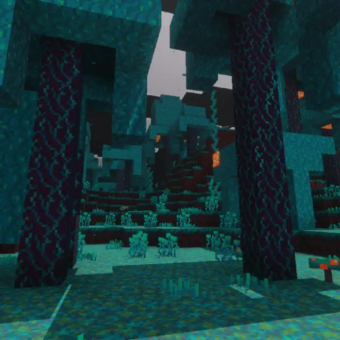 Warped Forest World Map for Minecraft